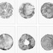 TREE RING ART Print, Tree Ring Print, Set of 6 Prints, Log Print Tree ...