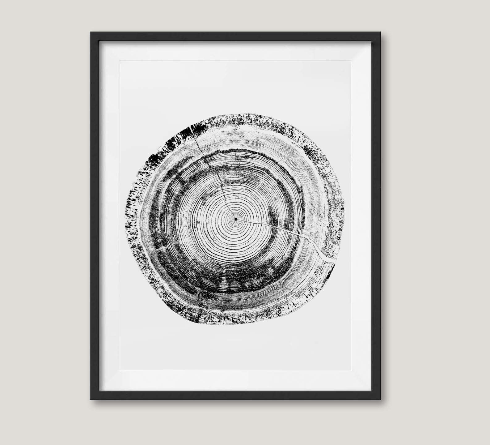 Annual Tree Rings in 3 Variations/photo of Growth Rings/tree Ring Print ...