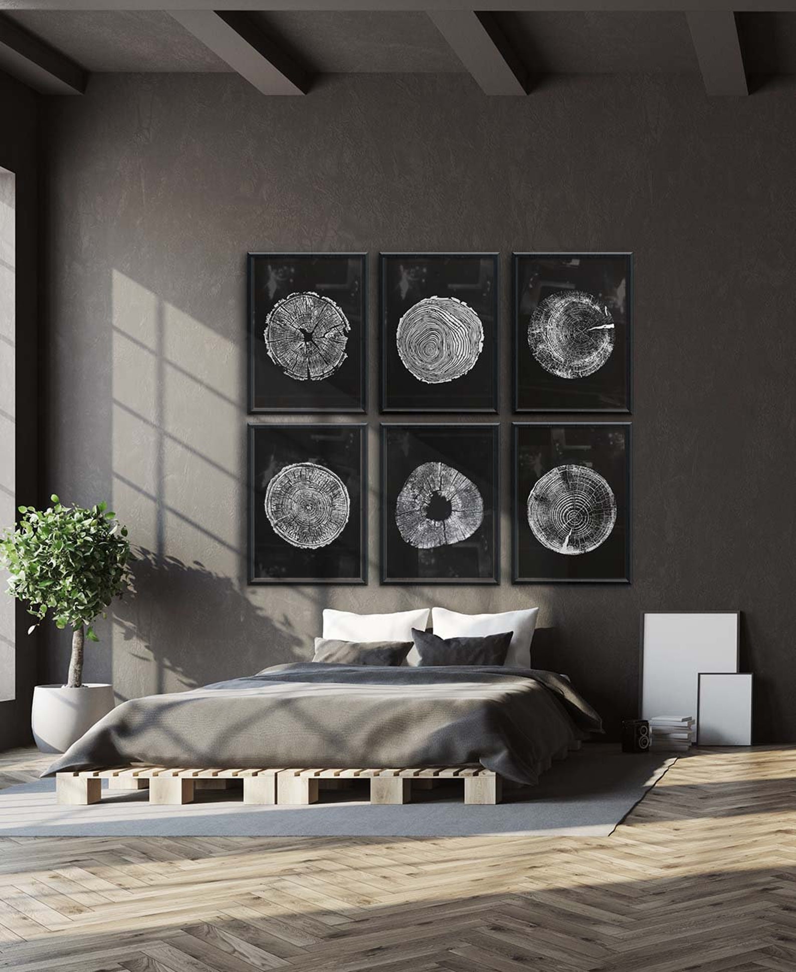 TREE RING ART Print, Tree Ring Print, Set of 6 Prints, Log Print Tree ...