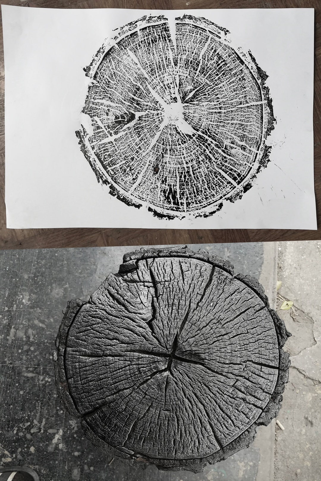 Tree Ring Ink Blot Print: Black and White Wood Grain (digital Download ...