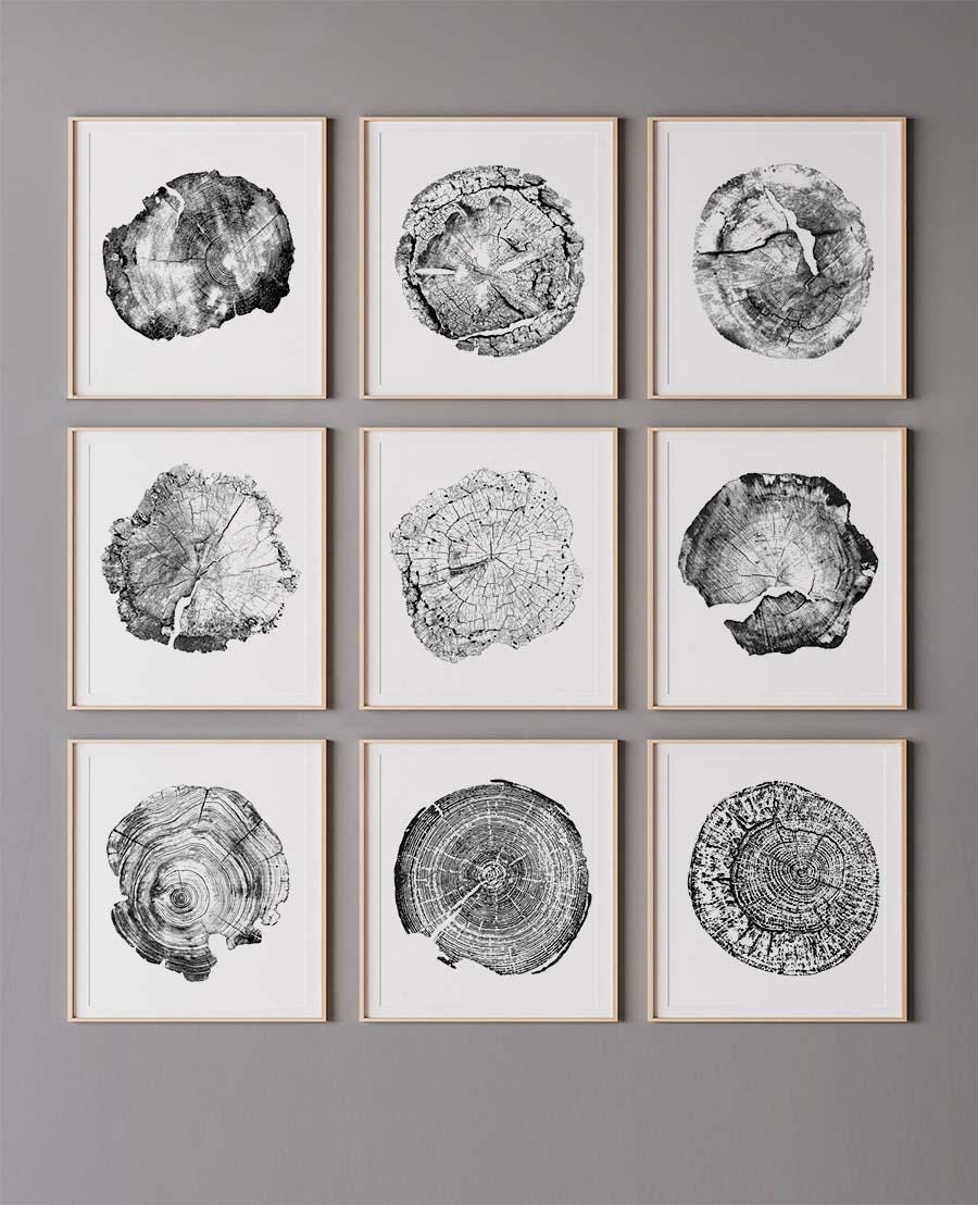 Tree Ring Print Set: Black & White Wood Slice Wall Decor (digital ...