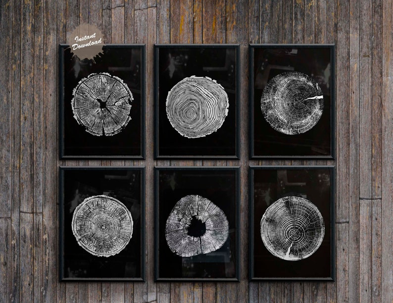 Tree Ring Art Print Tree Ring Print Set of 6 Prints Log - Etsy