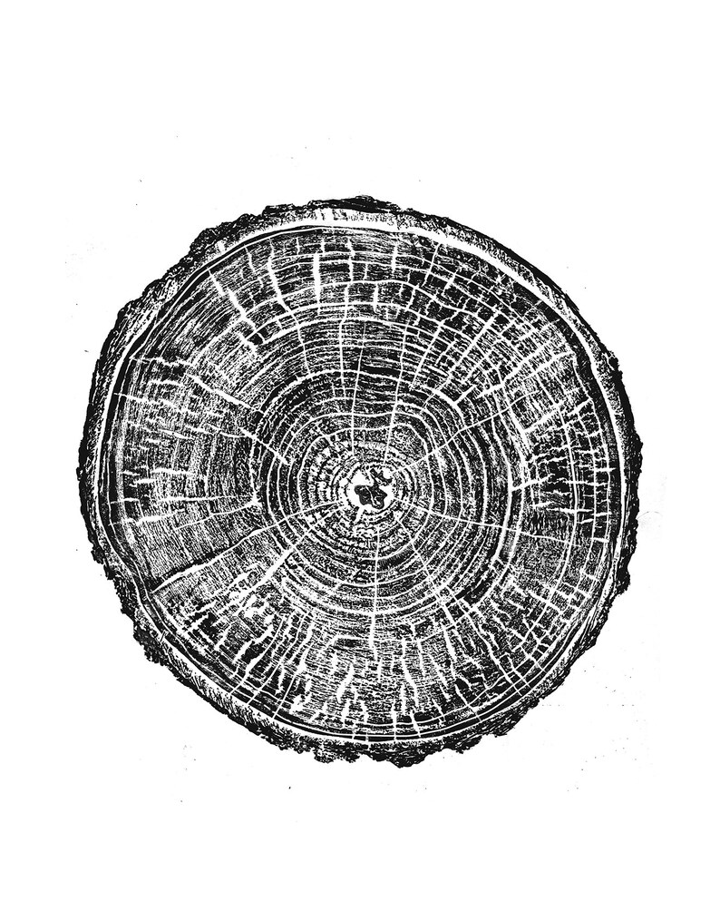 Set of 2 Prints Tree Ring Print Black and White Tree Print - Etsy