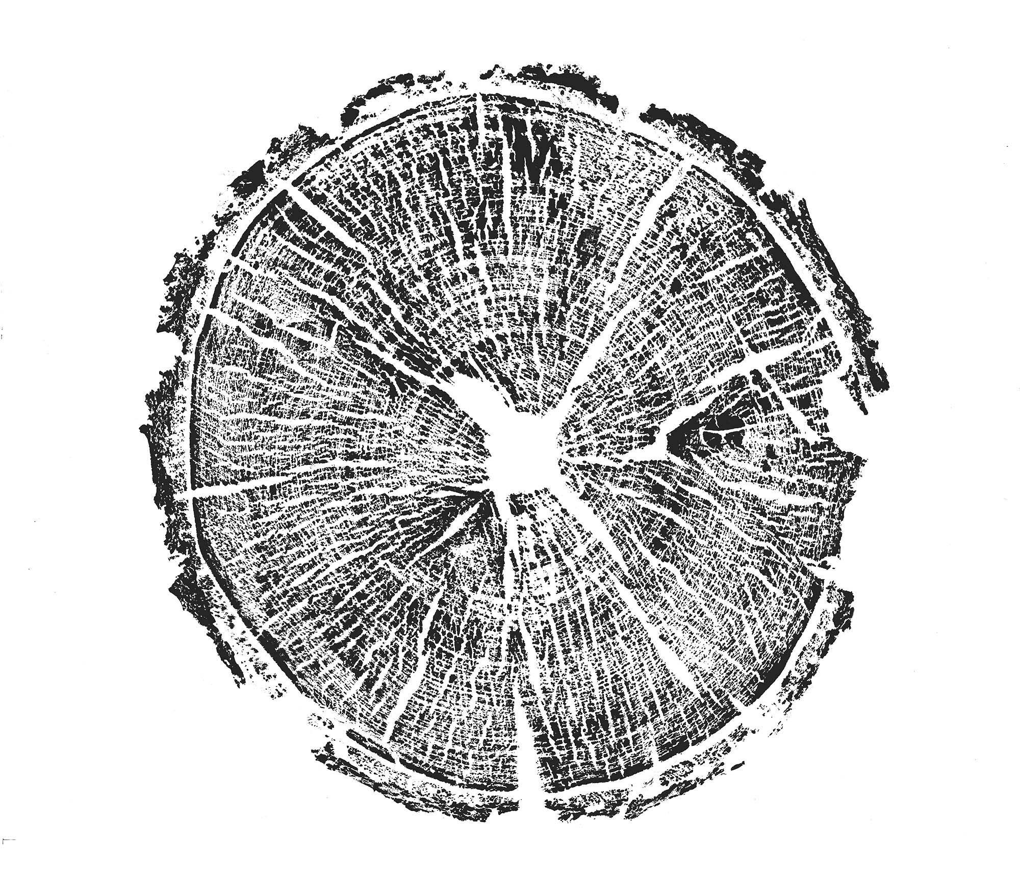 Tree Ring Ink Blot Print: Black and White Wood Grain (digital Download ...
