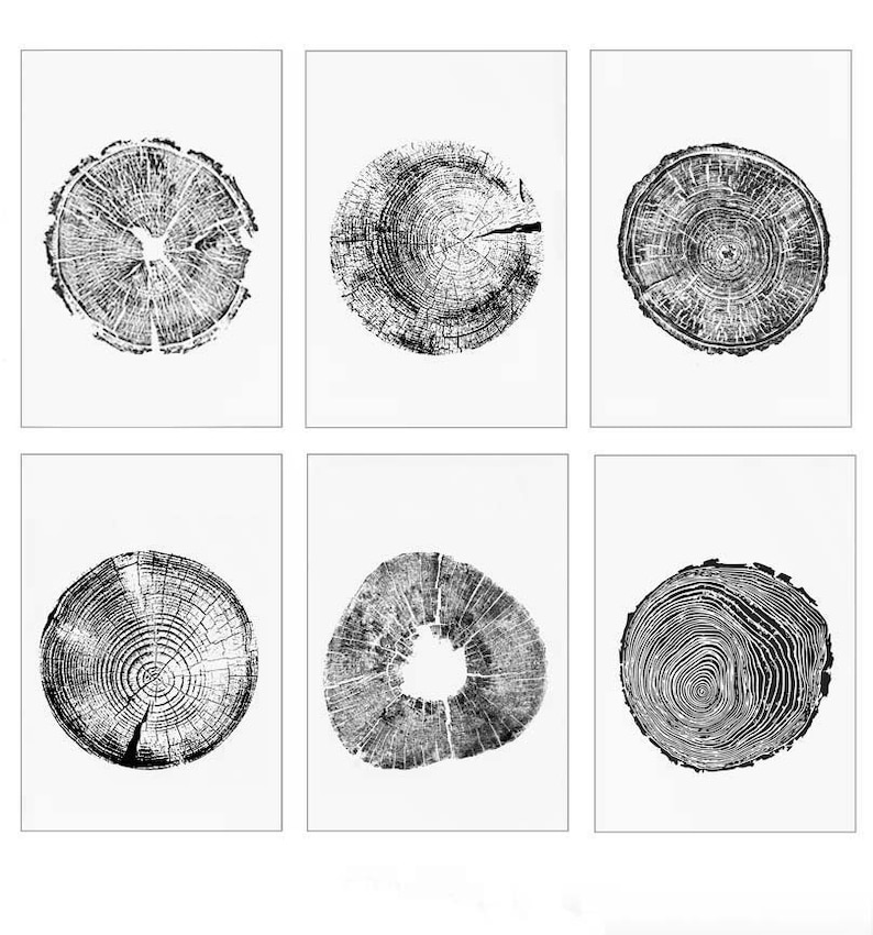 Tree Ring Art Print Tree Ring Print Set of 6 Prints Log - Etsy