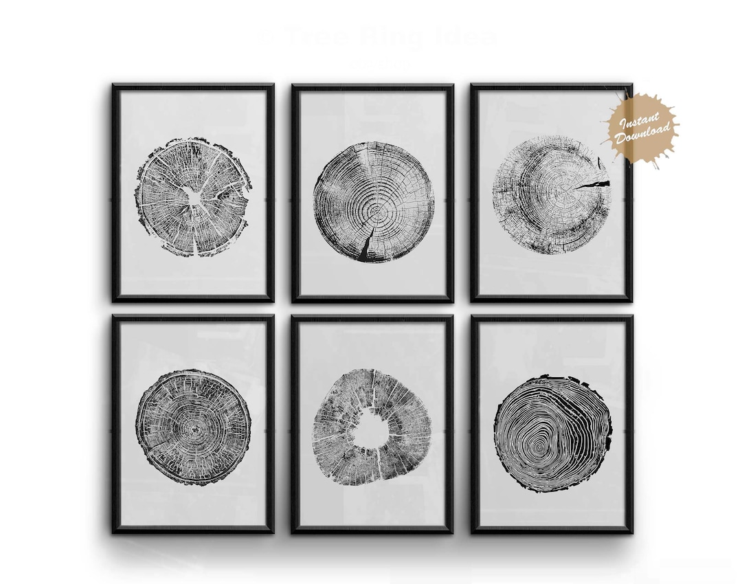 TREE RING ART Print, Tree Ring Print, Set of 6 Prints, Log Print Tree ...