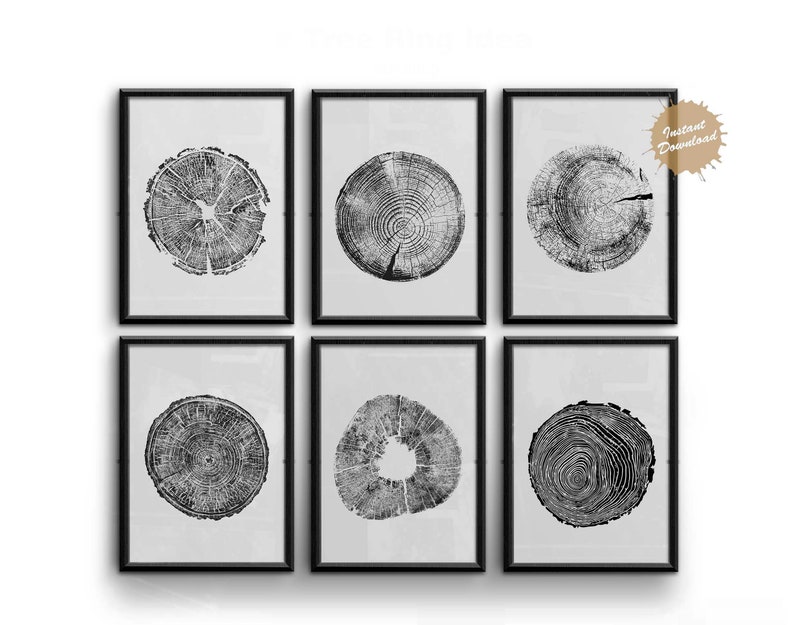 Tree Ring Art Print Tree Ring Print Set of 6 Prints Log - Etsy