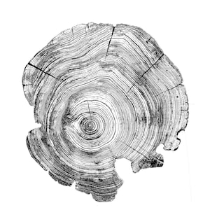 Set of 2 Prints, Tree Ring Print, Black and White Tree Print, Printable ...
