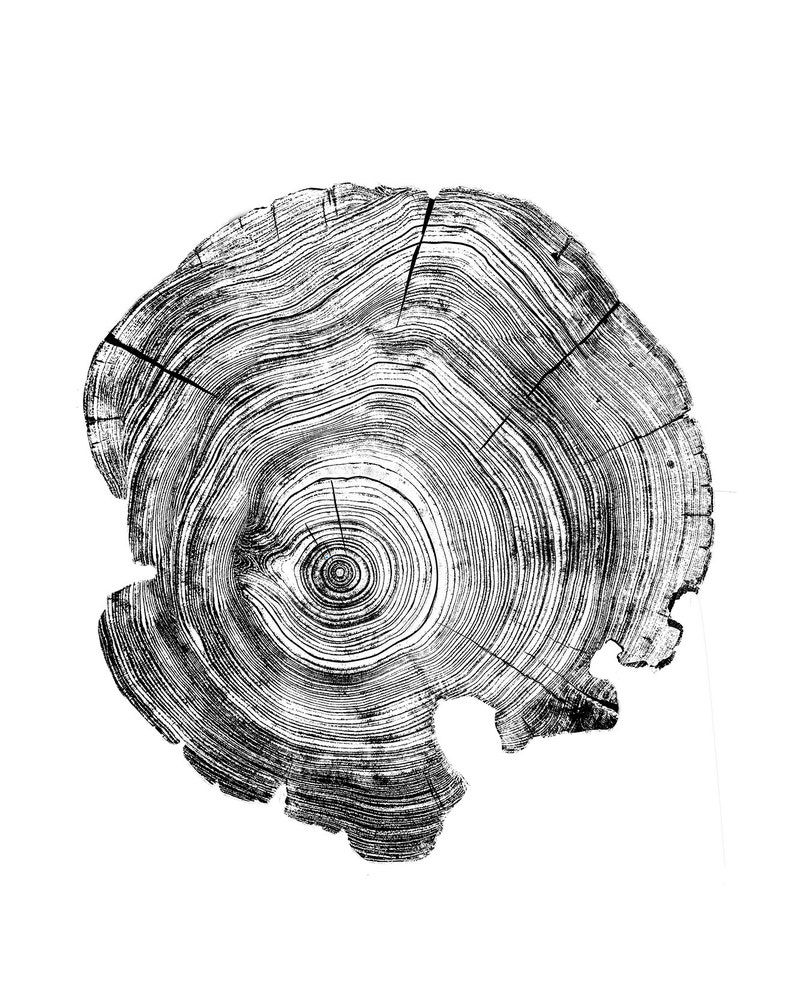 Set of 2 Prints Tree Ring Print Black and White Tree Print - Etsy