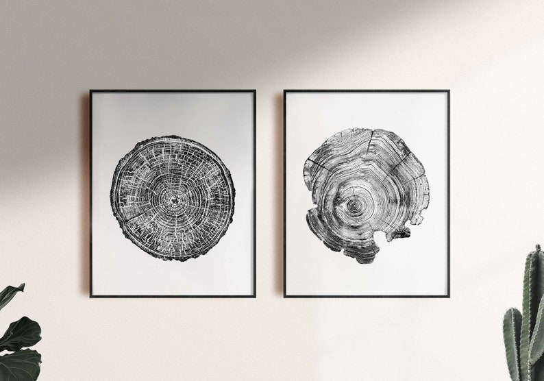 Set of 2 Prints Tree Ring Print Black and White Tree Print - Etsy