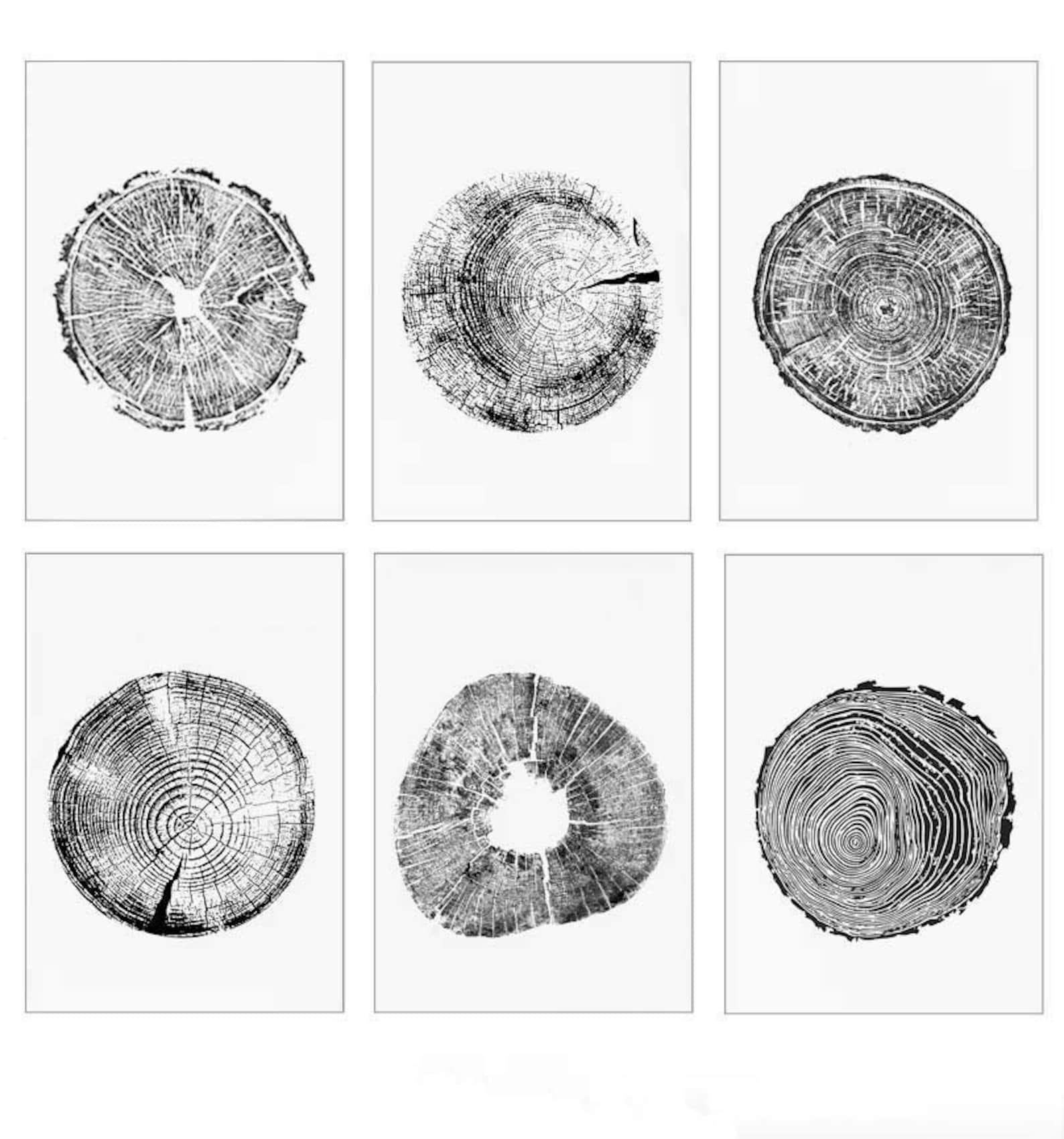 TREE RING ART Print, Tree Ring Print, Set of 6 Prints, Log Print Tree ...