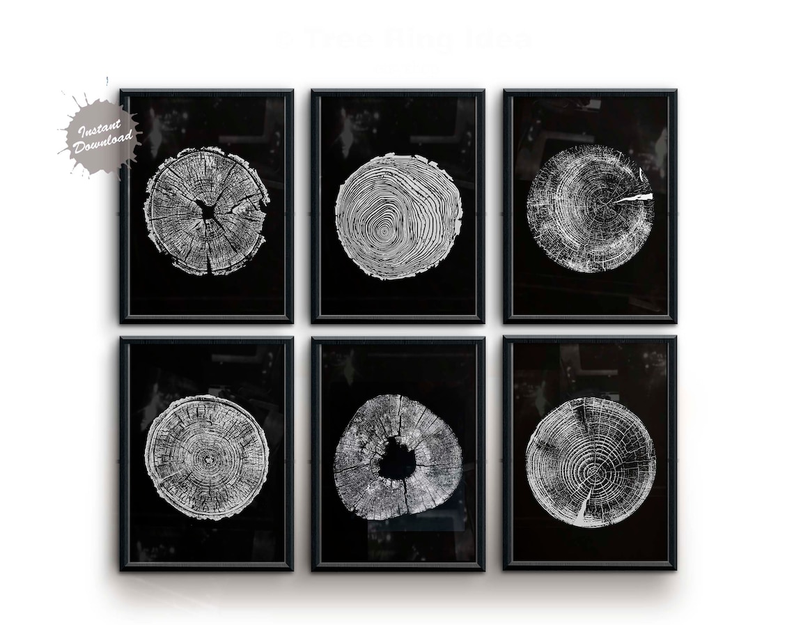 Tree Ring Art Print Tree Ring Print Set of 6 Prints Log - Etsy