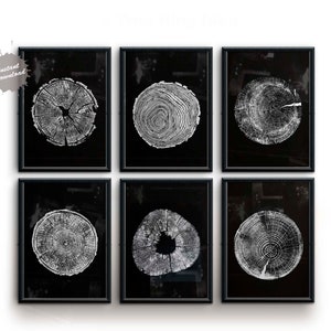 TREE RING ART Print, Tree Ring Print, Set of 6 Prints, Log Print Tree ...