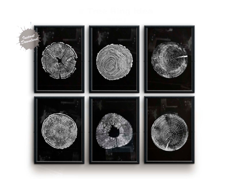 Tree Ring Art Print Tree Ring Print Set of 6 Prints Log - Etsy