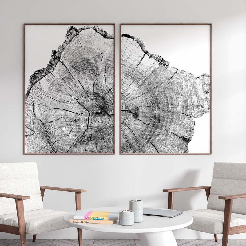 Tree Trunk Slices - Etsy