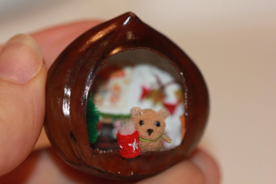 Nut Shell Diorama. Fairy Garden House. Tiny Fairy House, Micro Bear - Etsy