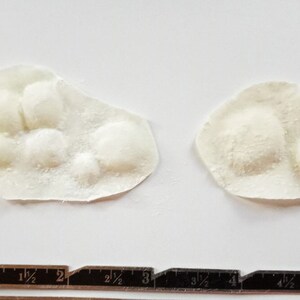 Latex Pustules Diseased Skin Boils Zombie Injury Makeup - Etsy