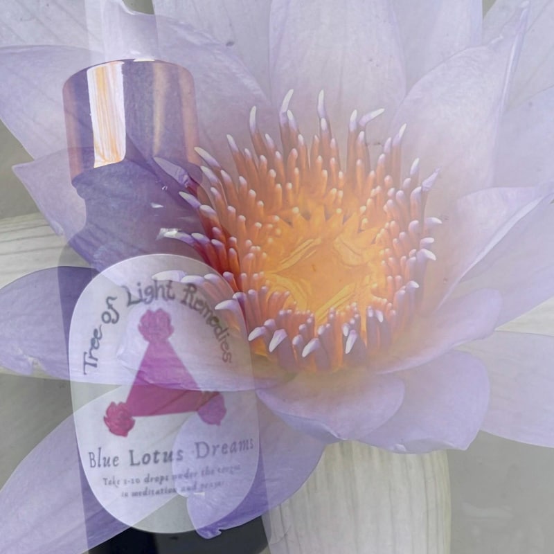 Tea for the Third Eye - Etsy UK