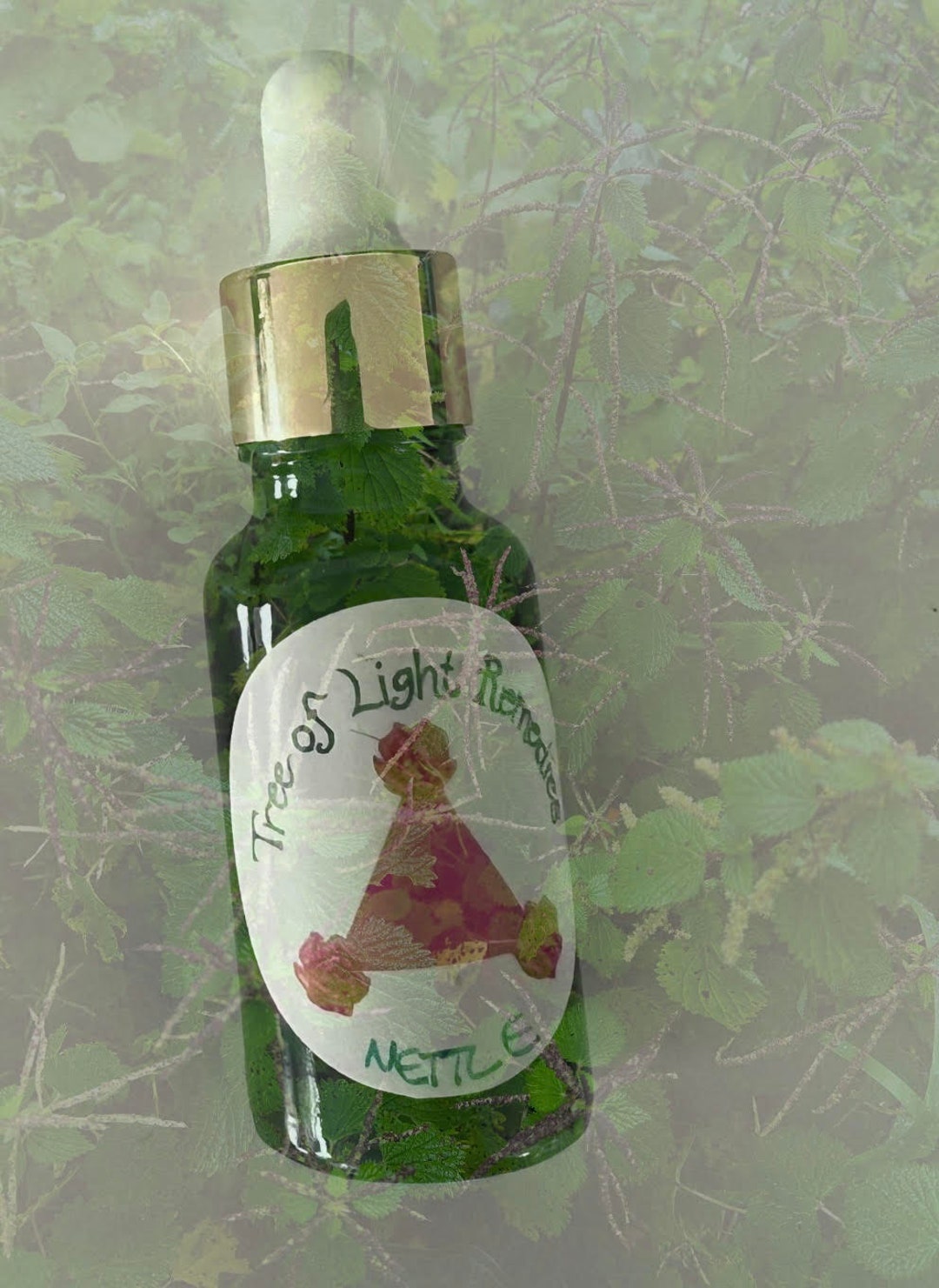 FATHER NETTLE - Tincture of Wild English Nettle for Body and Etheric ...