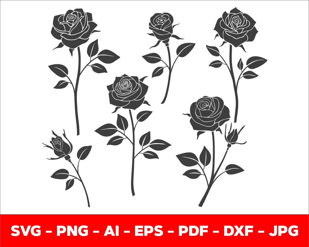 Rose SVG Bundle, Roses Svg Bundle, Rose Clipart Bundle, Rose Svg Cut ...