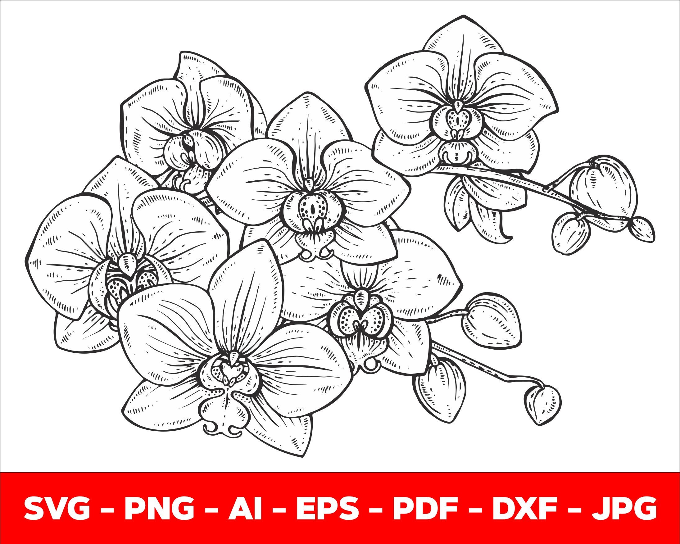 Flower Svg Bundle Floral Arrangement Svg Floral Svg Floral - Etsy