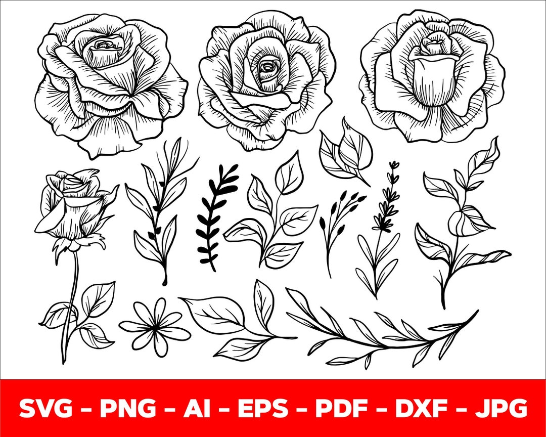 Svg Flowers Flower Svg Rose Svg Flower Border Svg Flo Porn Sex Picture