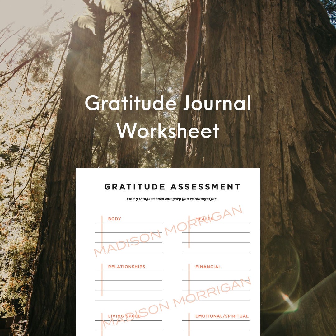 Gratitude Assessment PDF 1 Page Journal Worksheet - Etsy