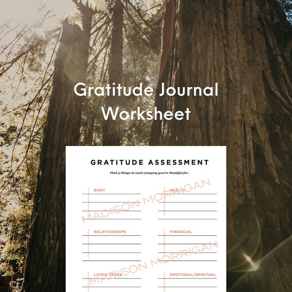 Gratitude Assessment - Etsy