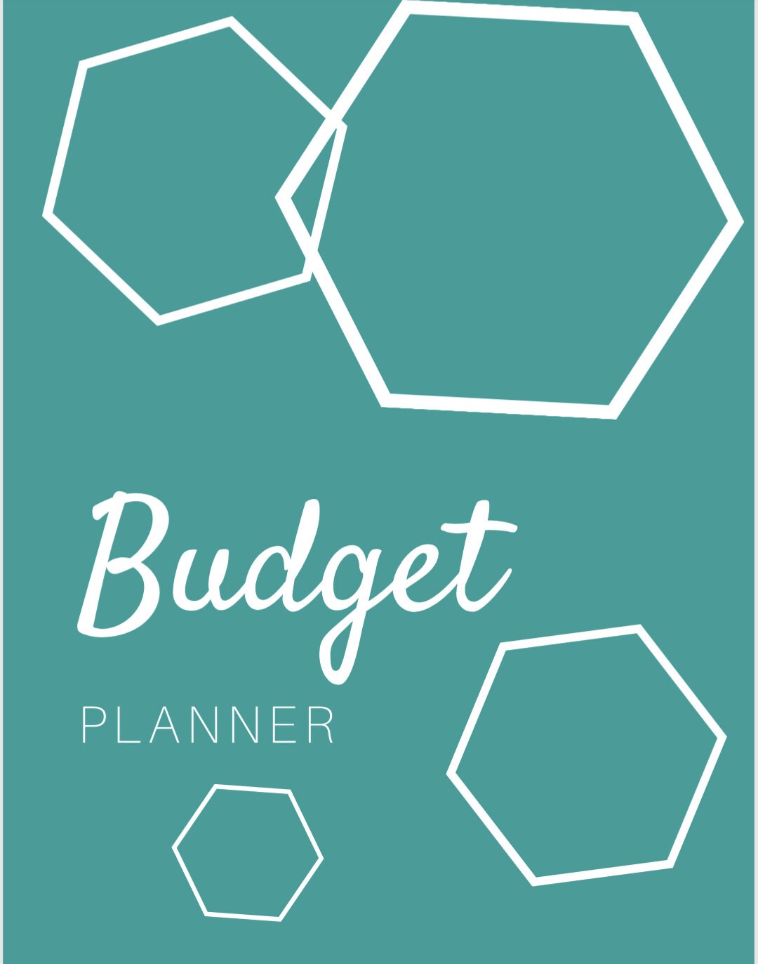 Budget Planner - Etsy