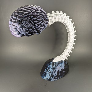 Articulated Spine Brain Movable Model - Etsy