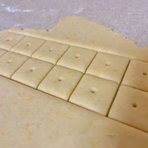 Square Cracker Cutter - Snack Crackers - Cookies - Sourdough Cheese ...