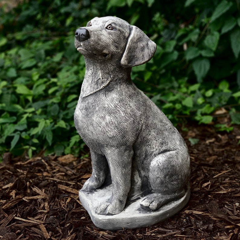 Large detailed labrador Cement labrador sculpture Garden labrador ...