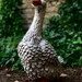 Large Goose Statue Realistic Goose Ornament Garden Goose Figure Cement ...
