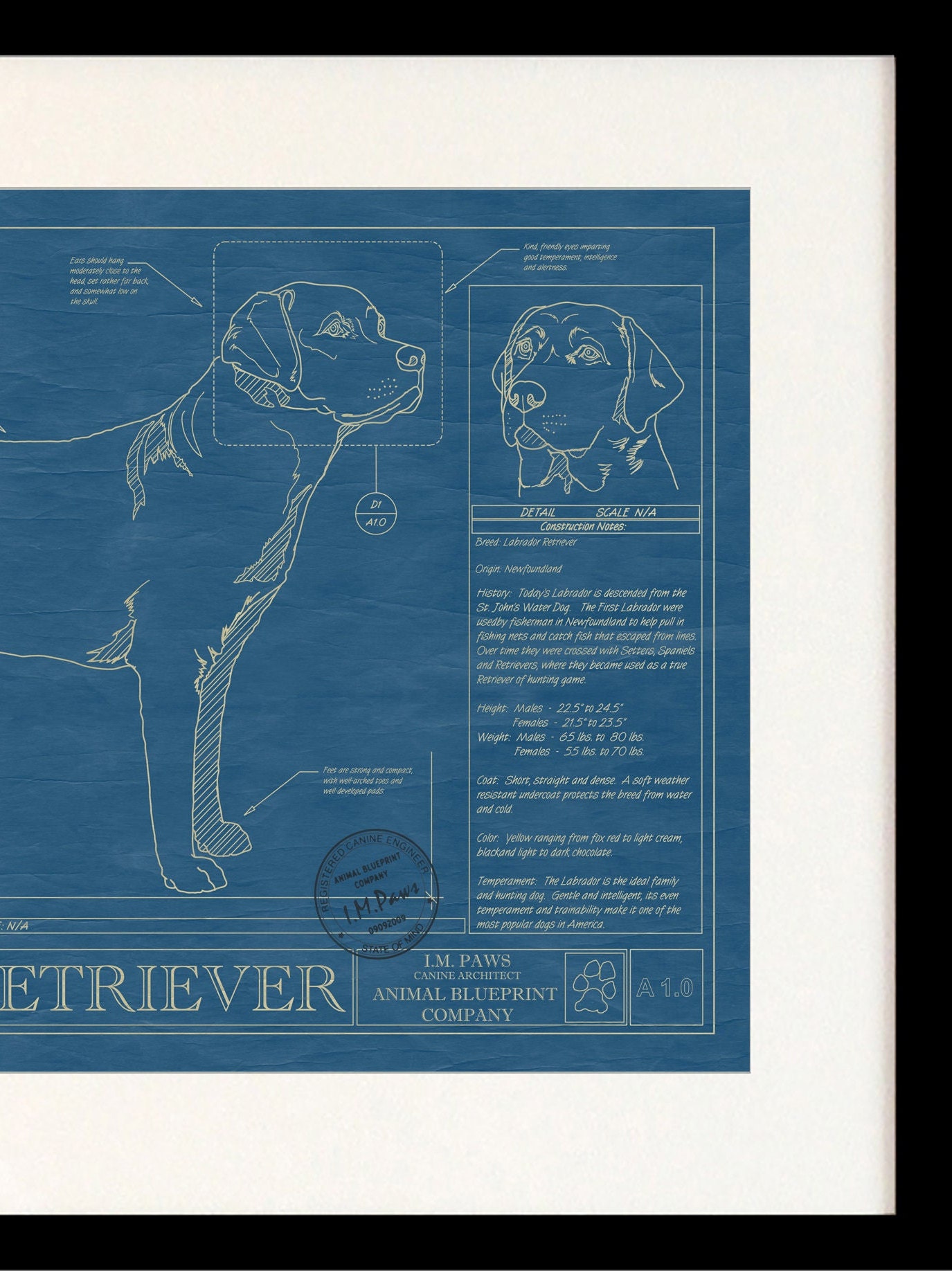 LABRADOR RETRIEVER Blueprint, Dog Art, Mid-century Art, Dog Lover Gift ...