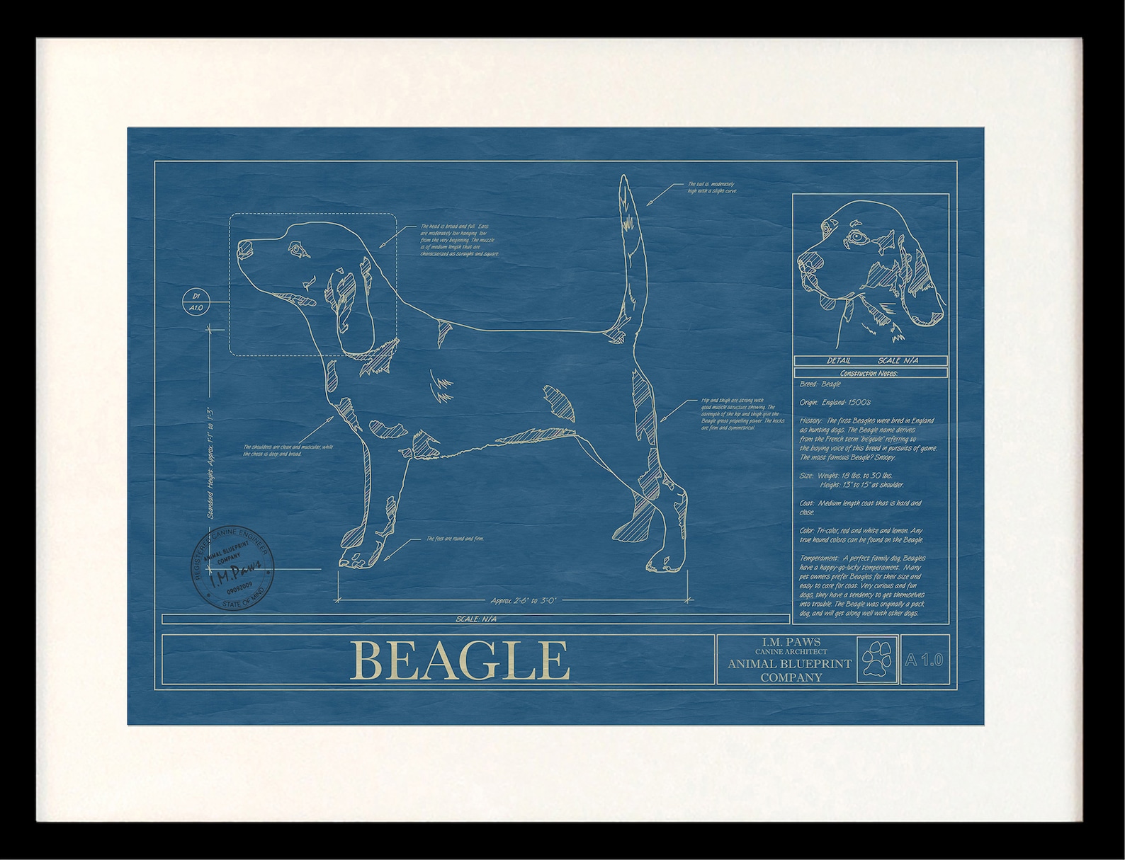 BEAGLE Blueprint, Dog Art, Mid-century Art, Dog Lover Gift, Museum ...