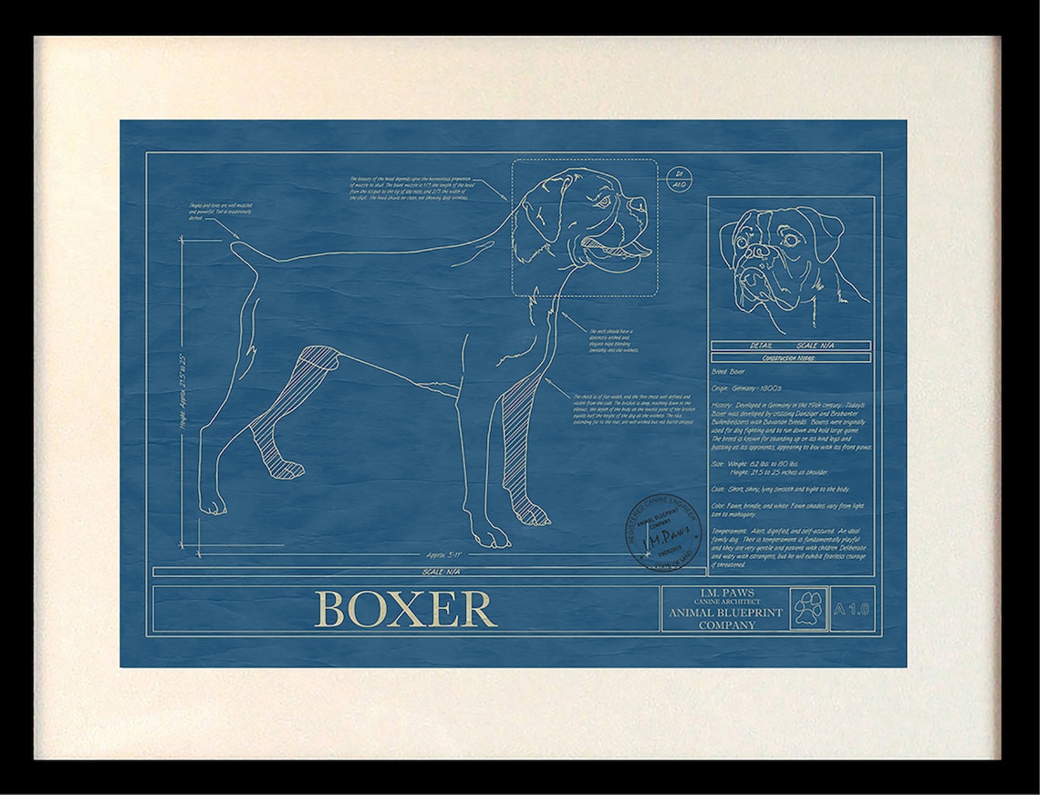 BOXER Blueprint, Dog Art, Mid-century Art, Dog Lover Gift, Museum ...