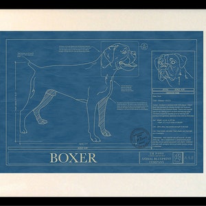 BOXER Blueprint, Dog Art, Mid-century Art, Dog Lover Gift, Museum ...