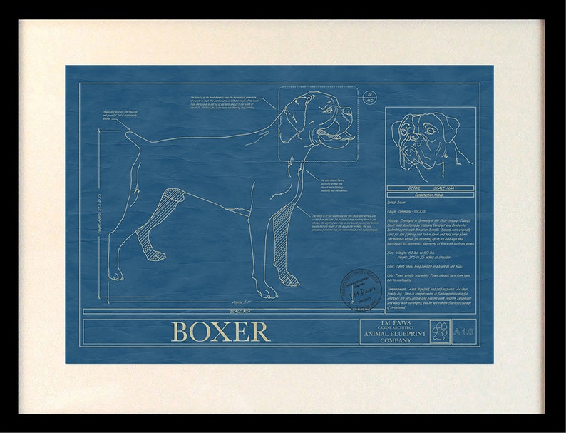 BOXER Blueprint, Dog Art, Mid-century Art, Dog Lover Gift, Museum ...