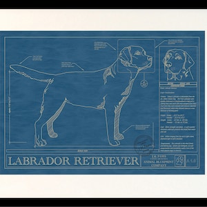 LABRADOR RETRIEVER Blueprint, Dog Art, Mid-century Art, Dog Lover Gift ...