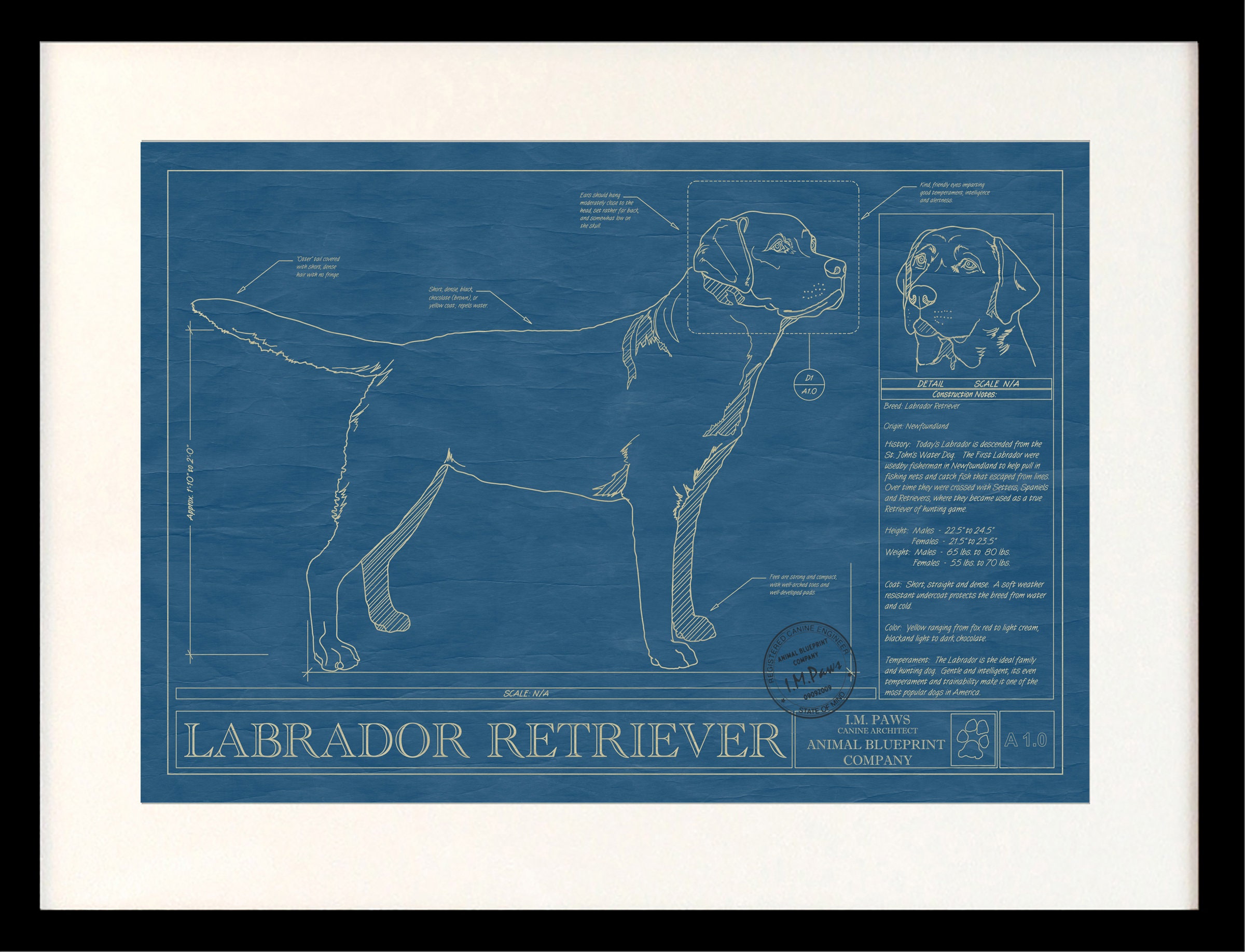 LABRADOR RETRIEVER Blueprint, Dog Art, Mid-century Art, Dog Lover Gift ...