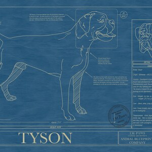BOXER Blueprint, Dog Art, Mid-century Art, Dog Lover Gift, Museum ...