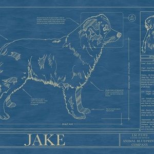 BORDER COLLIE Blueprint, Dog Art, Mid-century Art, Dog Lover Gift ...