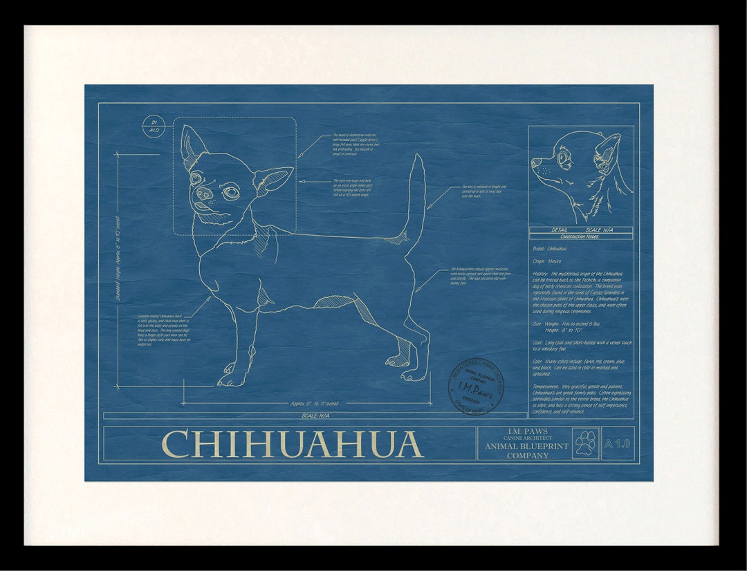 CHIHUAHUA Blueprint, Dog Art, Mid-century Art, Dog Lover Gift, Museum ...