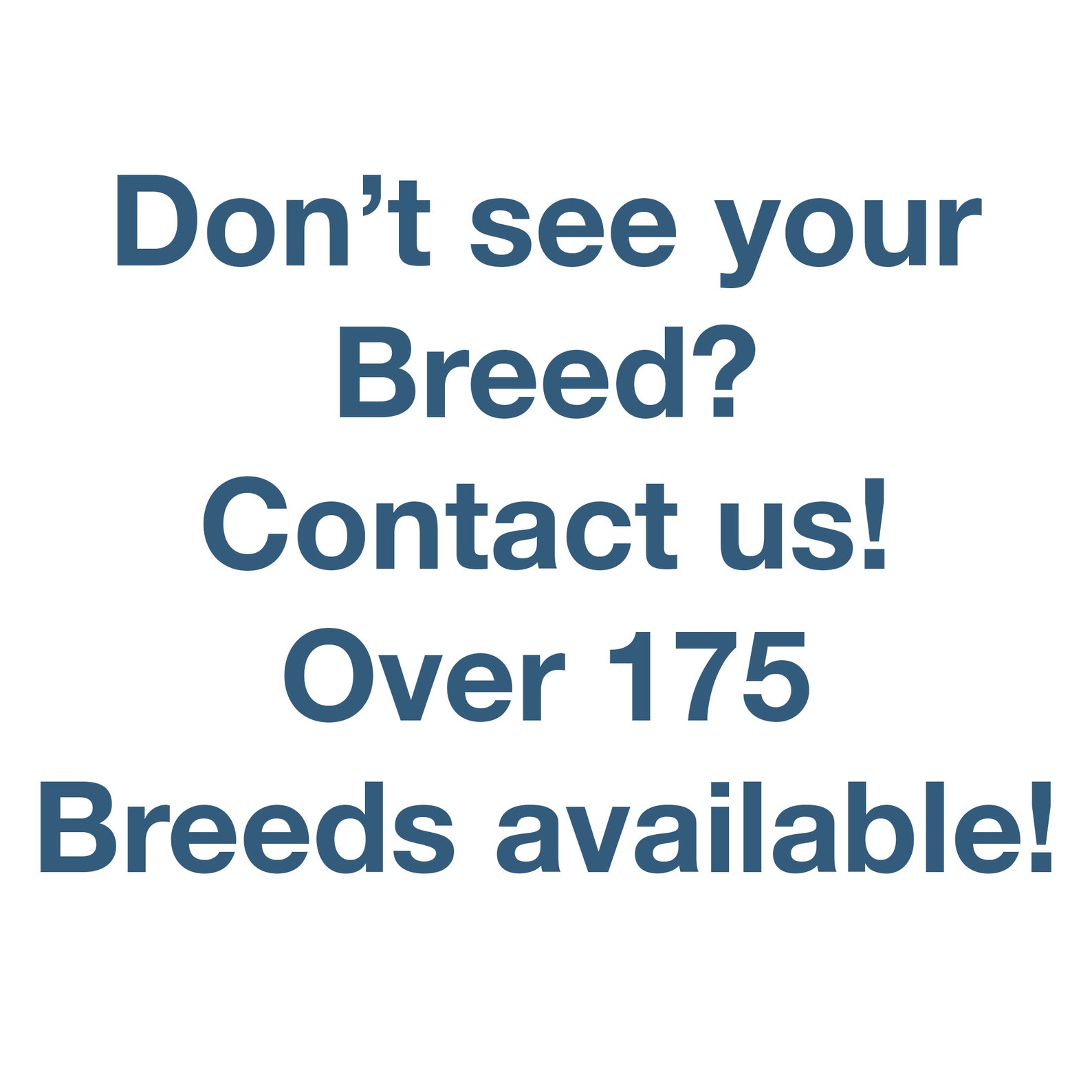 BOXER Blueprint, Dog Art, Mid-century Art, Dog Lover Gift, Museum ...