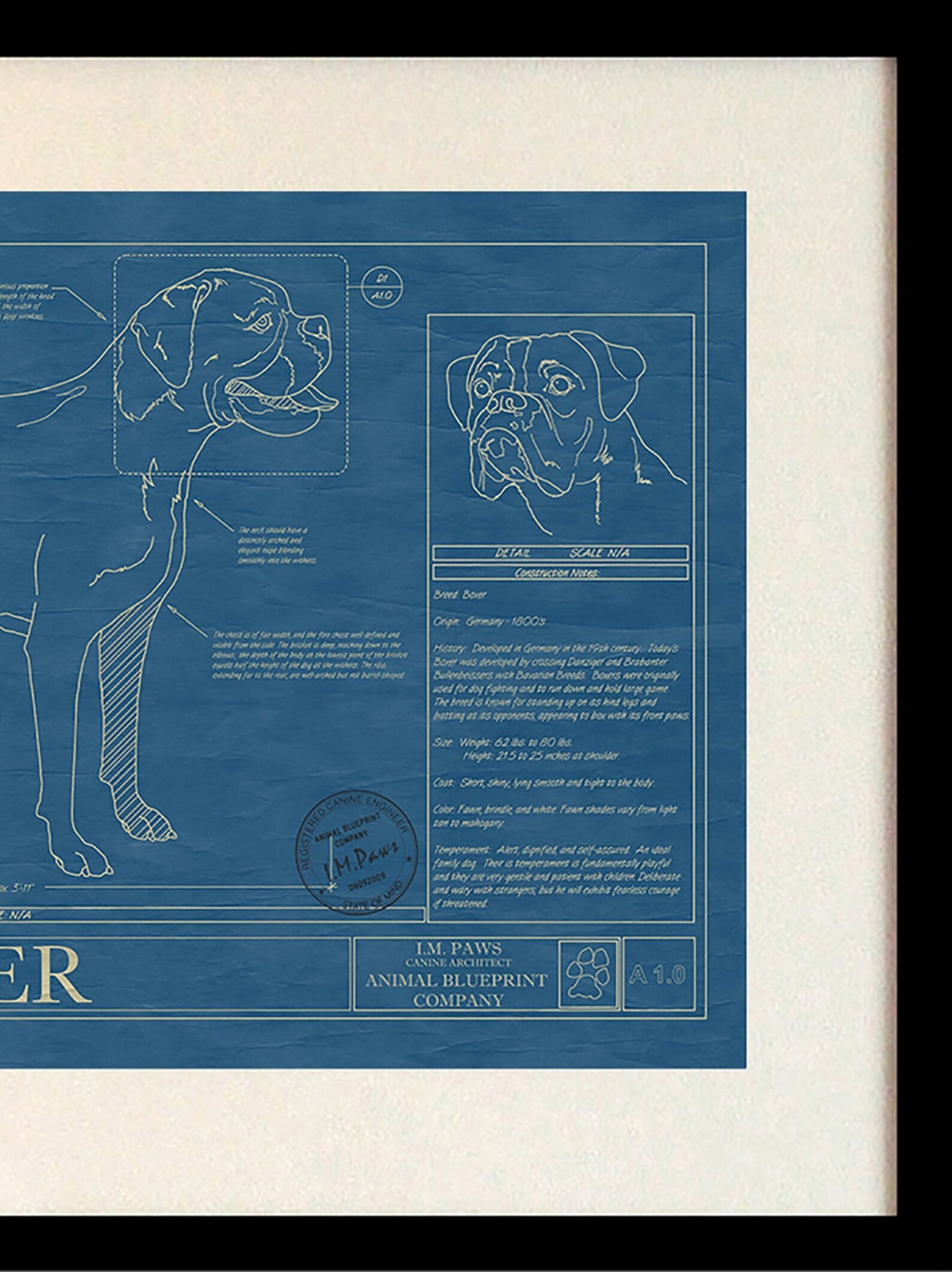 BOXER Blueprint, Dog Art, Mid-century Art, Dog Lover Gift, Museum ...