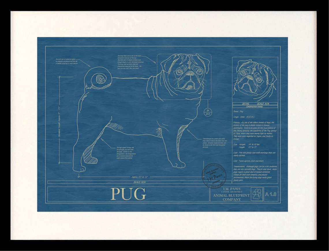 PUG Blueprint Dog Art Mid-century Art Dog Lover Gift - Etsy