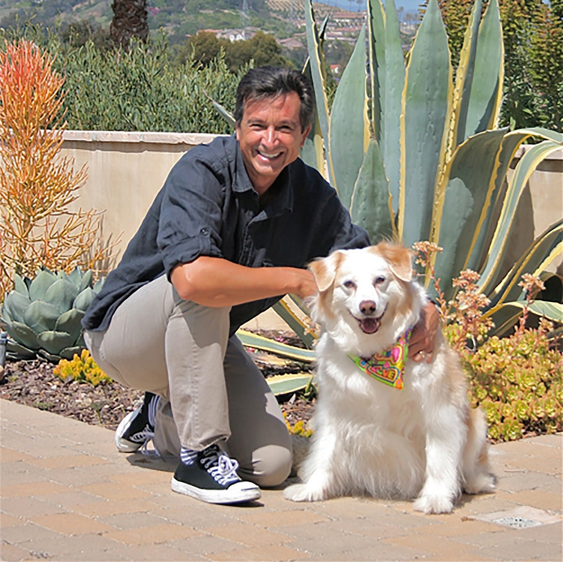 PUG Blueprint Dog Art Mid-century Art Dog Lover Gift - Etsy