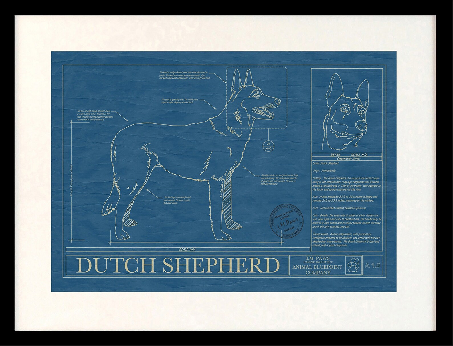 DUTCH SHEPHERD Blueprint, Dog Art, Mid-century Art, Dog Lover Gift ...