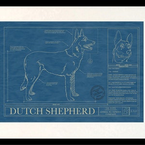 DUTCH SHEPHERD Blueprint, Dog Art, Mid-century Art, Dog Lover Gift ...