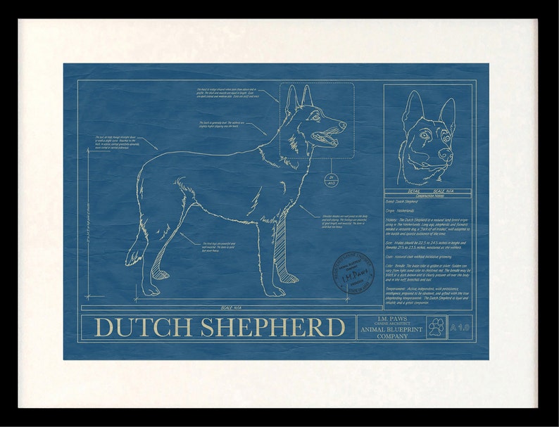 DUTCH SHEPHERD Blueprint, Dog Art, Mid-century Art, Dog Lover Gift ...
